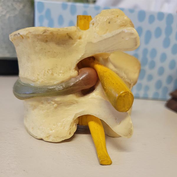 Polochick Chiropractic Services